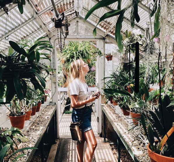 Tiny Plant Interviews- Hannah Hamilton – Tiny Plant Market