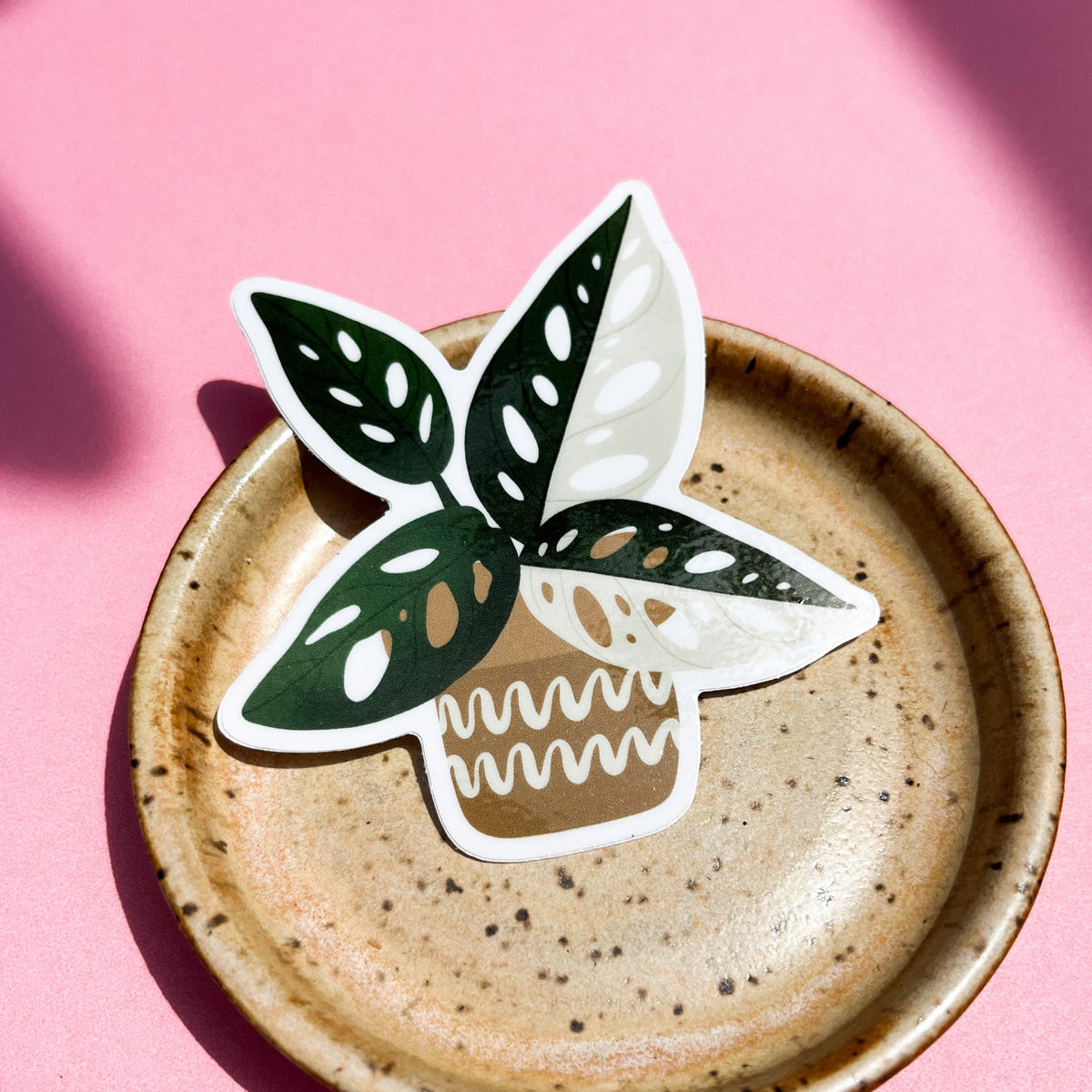 Variegated Monstera Adansonii Plant Sticker – Tiny Plant Market
